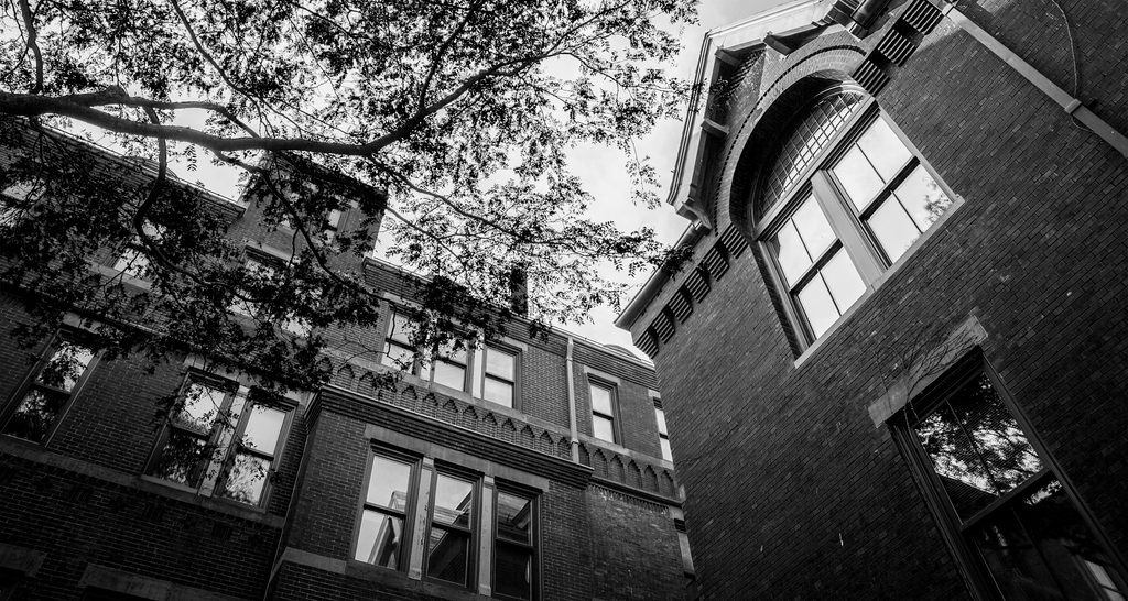 MPH at Boston University: Build a healthier future for all | School of ...